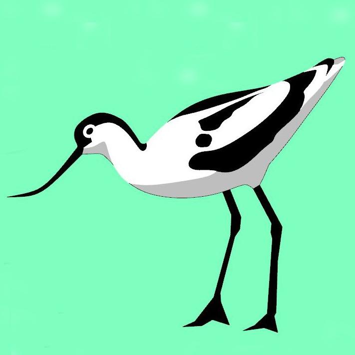 cropped-wqsc-avocet-larger-background – Weir Quay Sailing Club