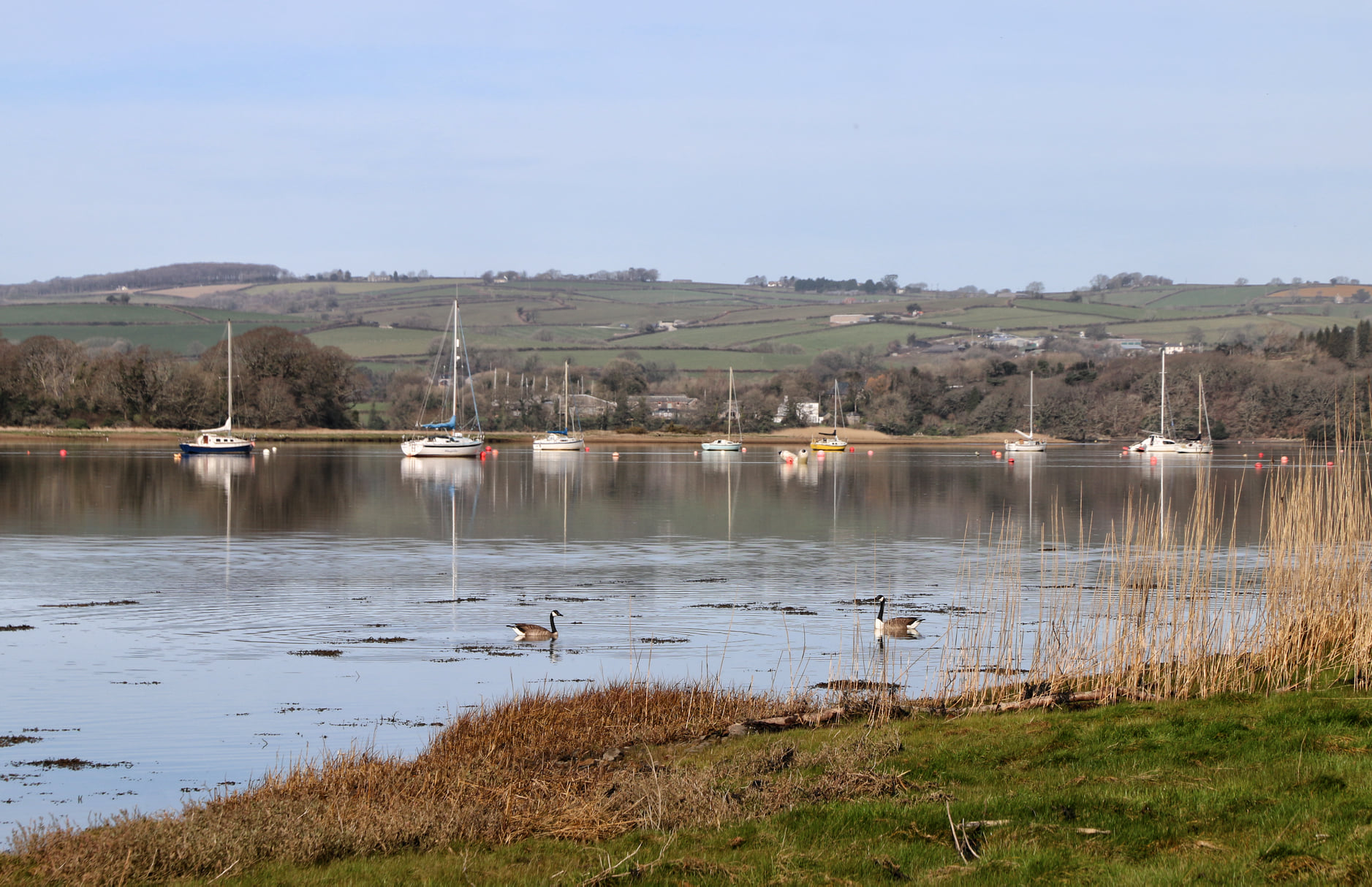Weir Quay Sailing Club – Family friendly sailing in the heart of the ...